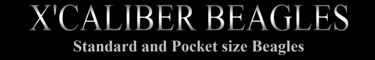 X'CALIBER BEAGLES – Beagles , Jamesville, North Carolina